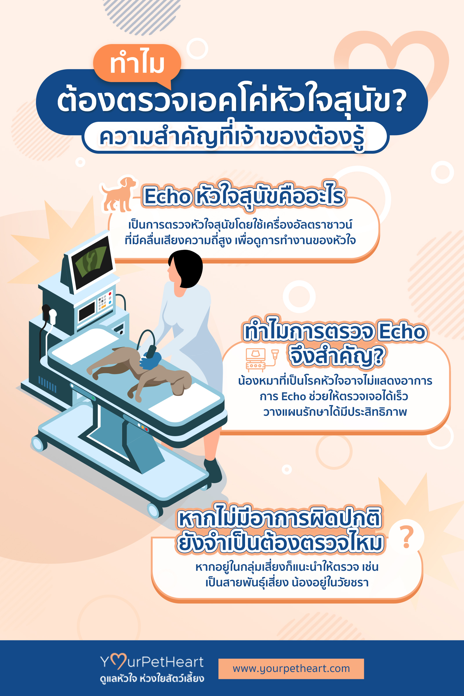 ทำไมต้องตรวจเอคโค่หัวใจสุนัข? ความสำคัญที่เจ้าของต้องรู้